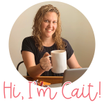 Strategies for Adding Details and Using Elaboration in Writing - Cait's ...